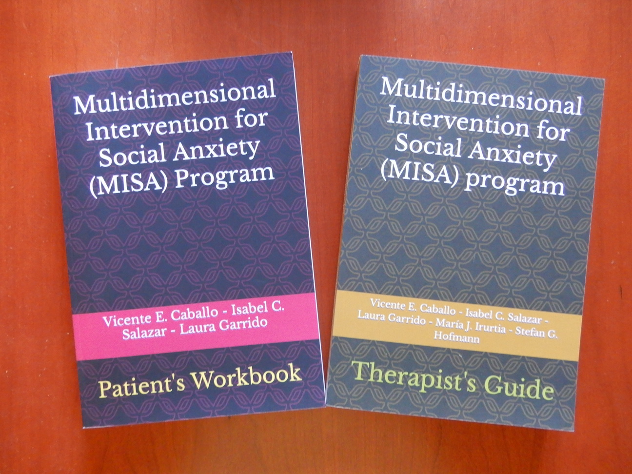 MISA program – APICSA